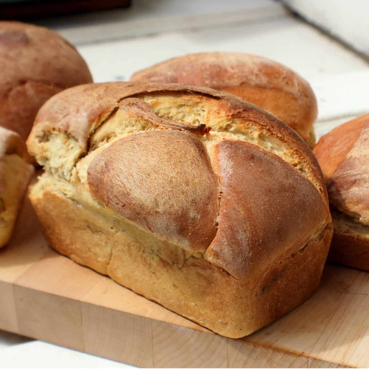 Easy Yeast Breads Recipes | Smells Like Delish