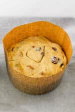 Classic Panettone Bread | Smells Like Delish