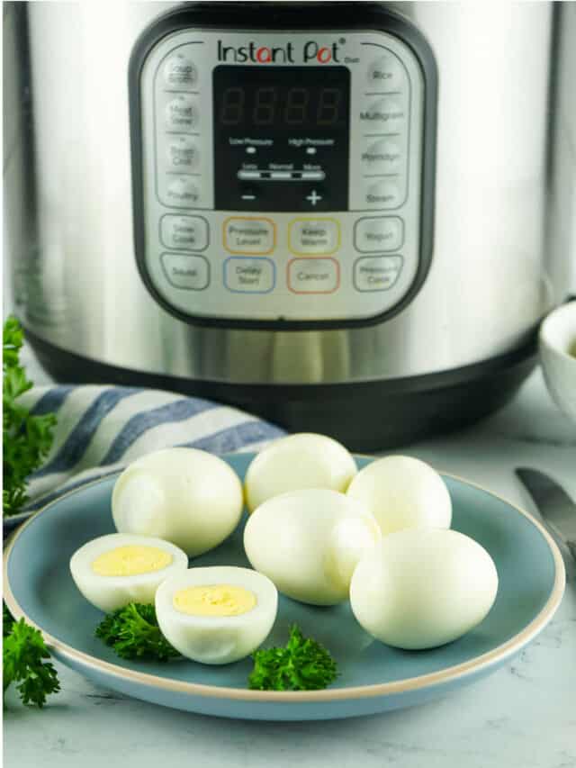 Easy Instant Pot Quick Start Guide | Smells Like Delish