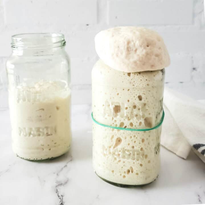 How To Make Sourdough Bread Starter | Smells Like Delish