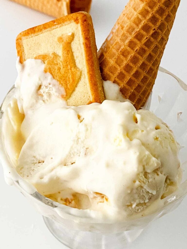 Ice Cream Maker Banana Ice Cream | Smells Like Delish